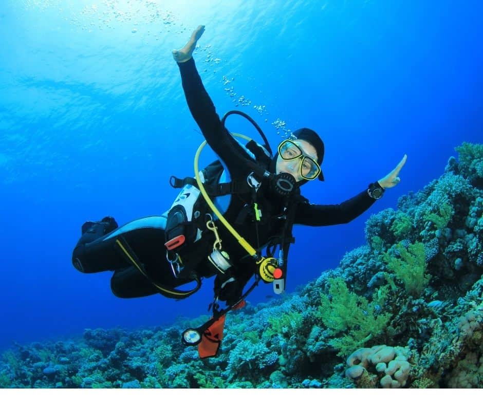 Diving in Seychelles - Inside Seychelles