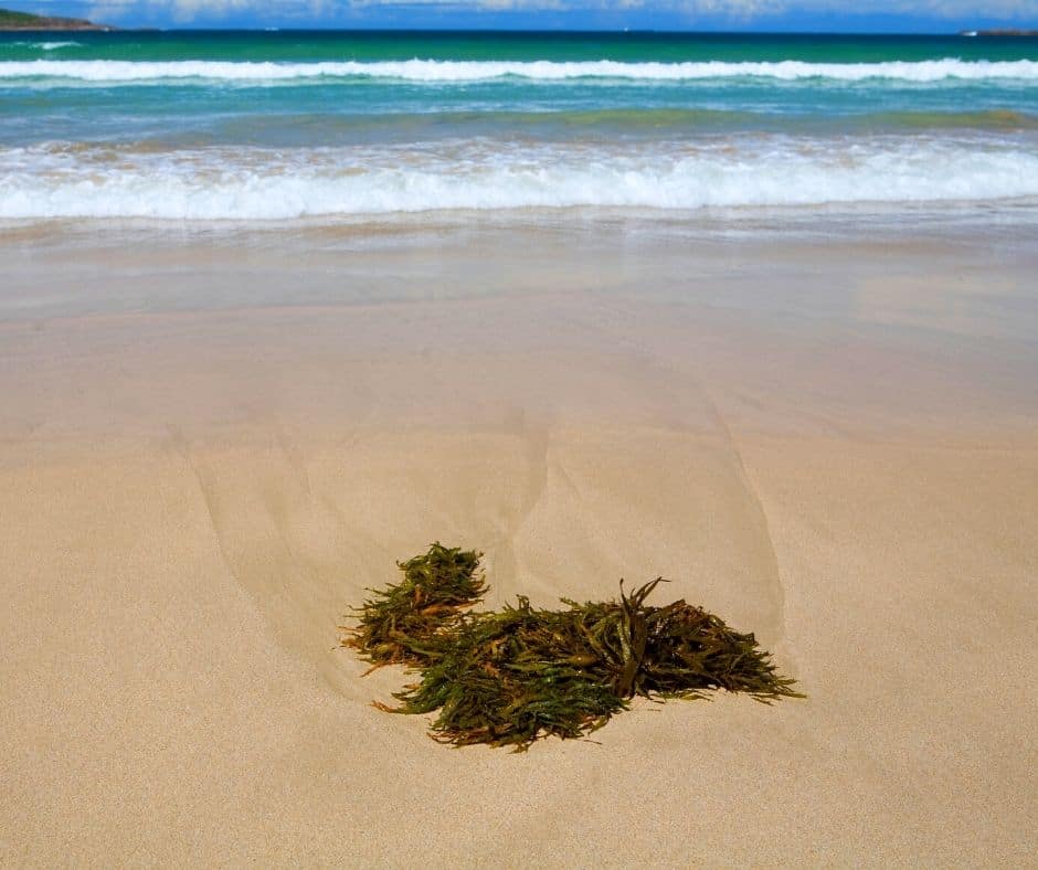 Best time to Travel & Climate in Seychelles - Inside Seychelles