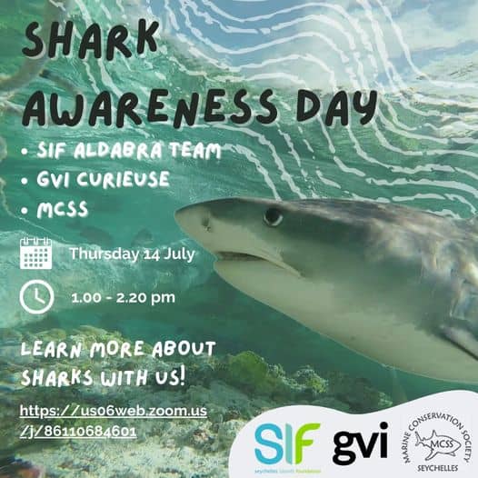 Happy Shark Awareness Day - Inside Seychelles