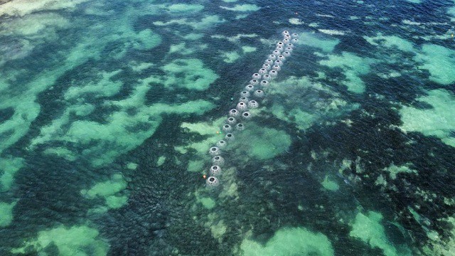 New ways to stop beach erosion - Inside Seychelles