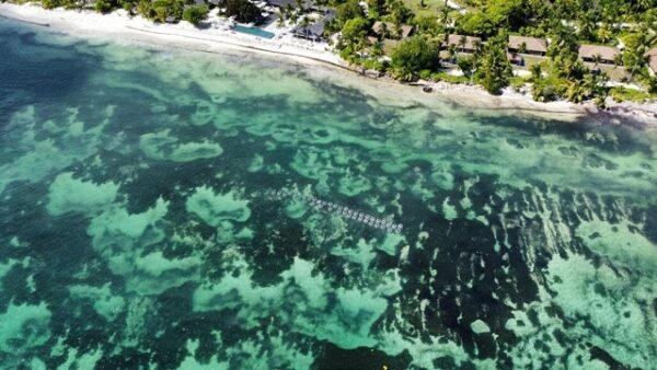 New ways to stop beach erosion - Inside Seychelles