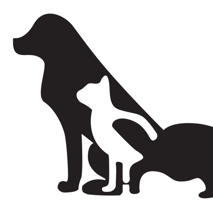 Stray Animals in Seychelles - Inside Seychelles