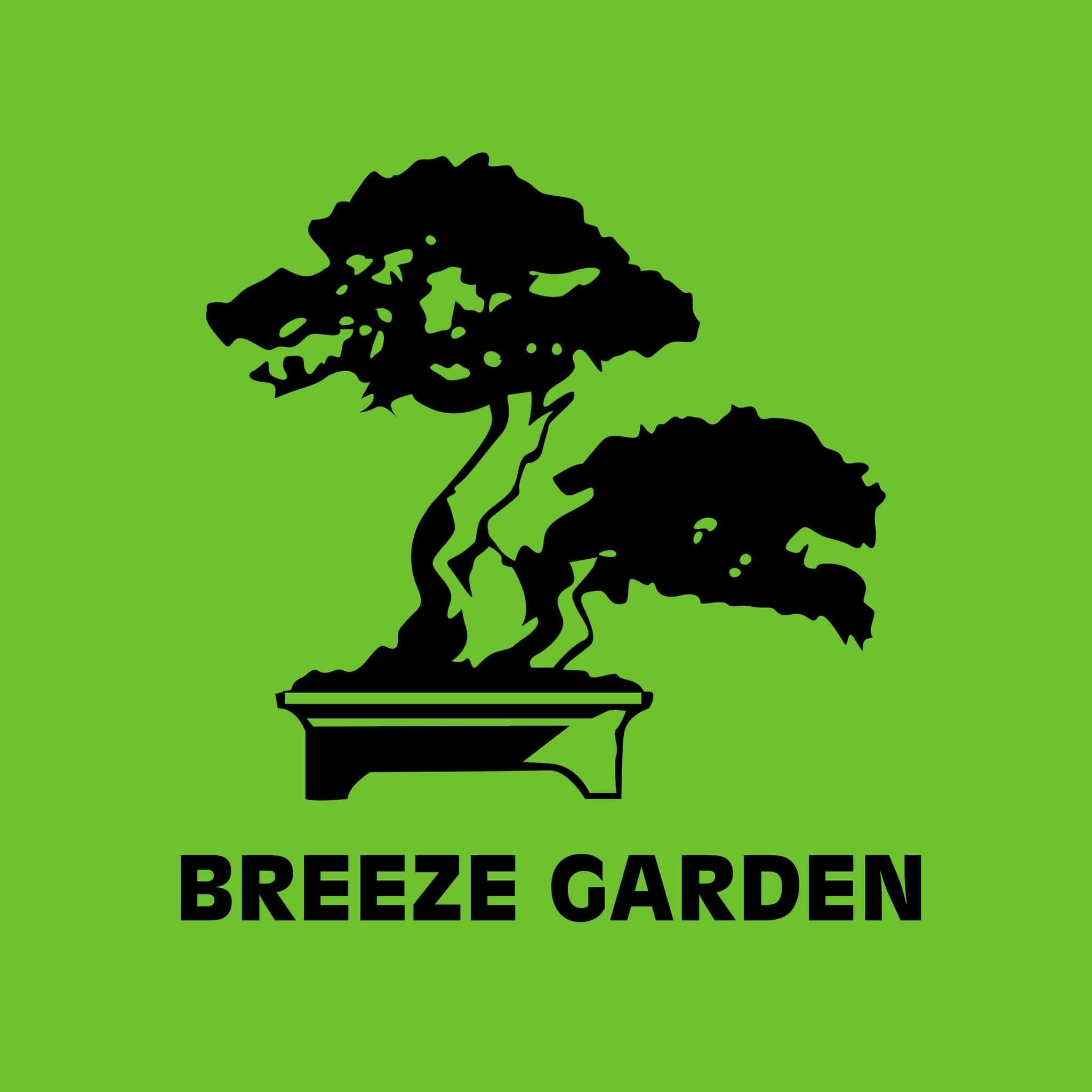 Where to watch the World Cup Rugby 2023 in Seychelles - Inside Seychelles