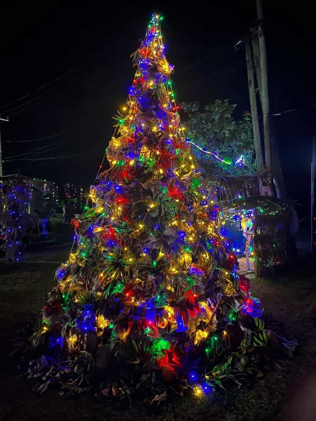 Winners of the Eco-Friendly Christmas Decoration Contest - Inside ...