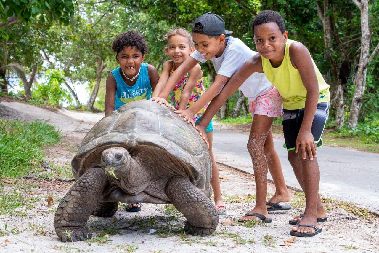 Where to meet Giant Tortoises in Seychelles - Inside Seychelles