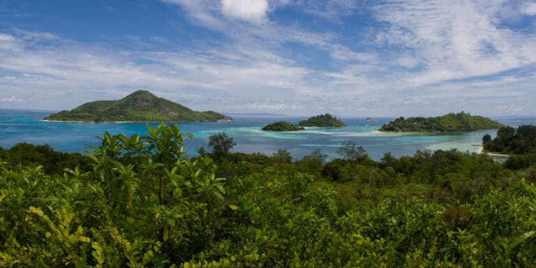 The Coco de Mer - The largest seed in the plant kingdom - Inside Seychelles