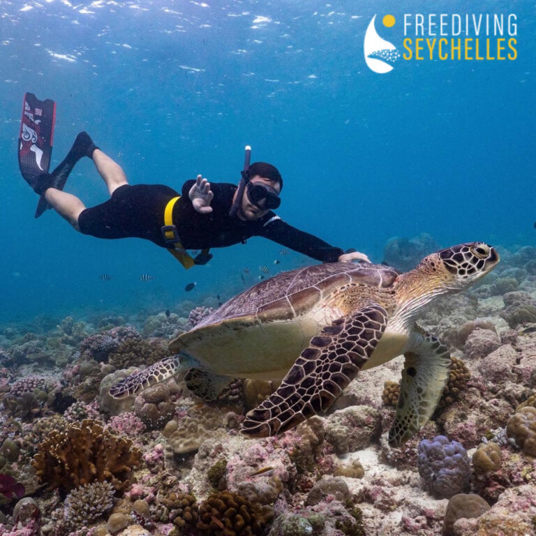 Freediving Seychelles - Inside Seychelles