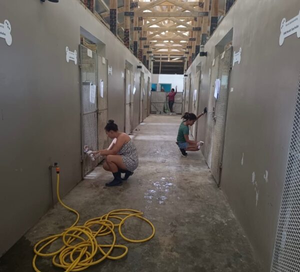 SSPCA Needs Your Support - Inside Seychelles